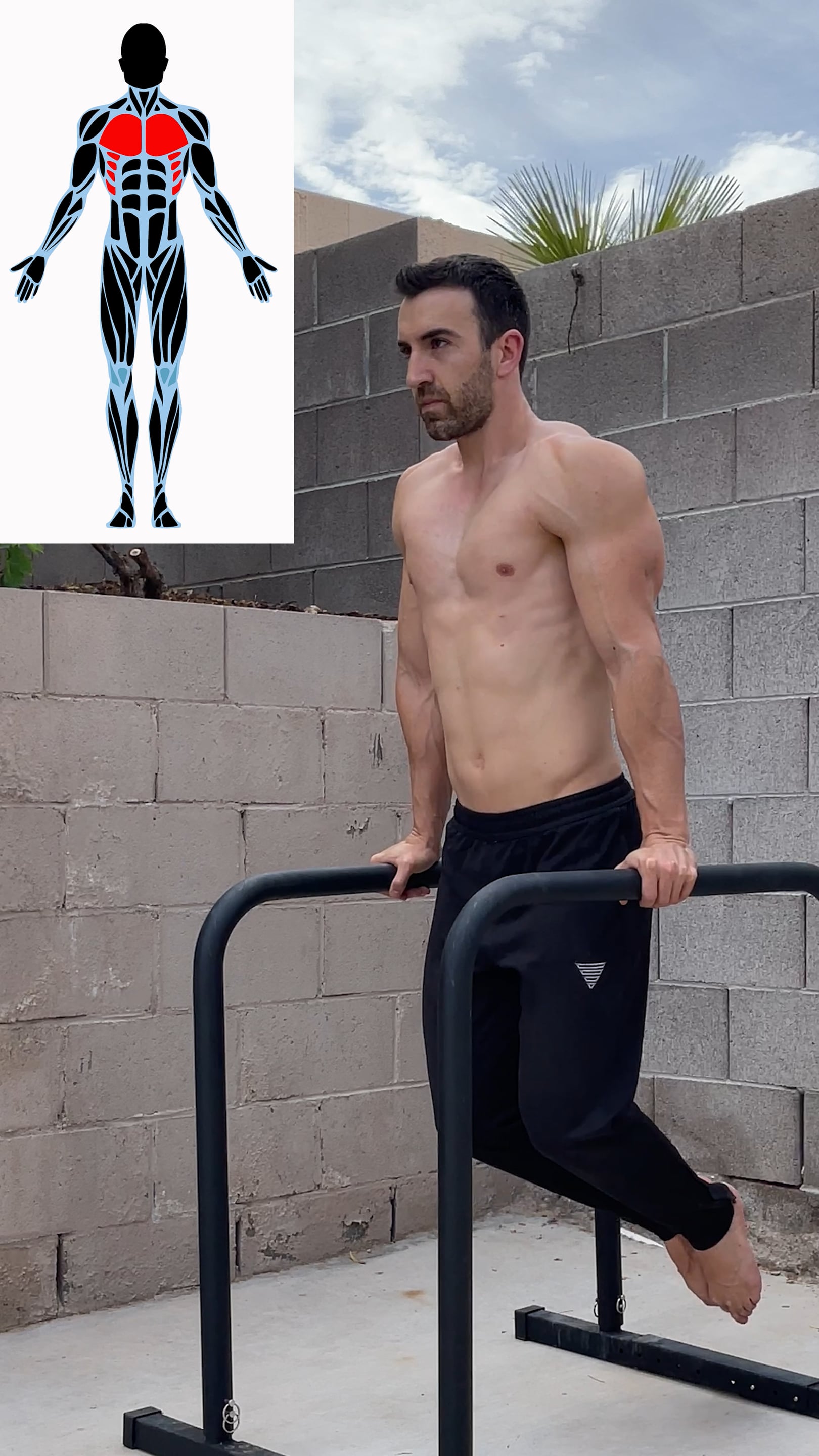 Scapular Dip Tutorial on Vimeo