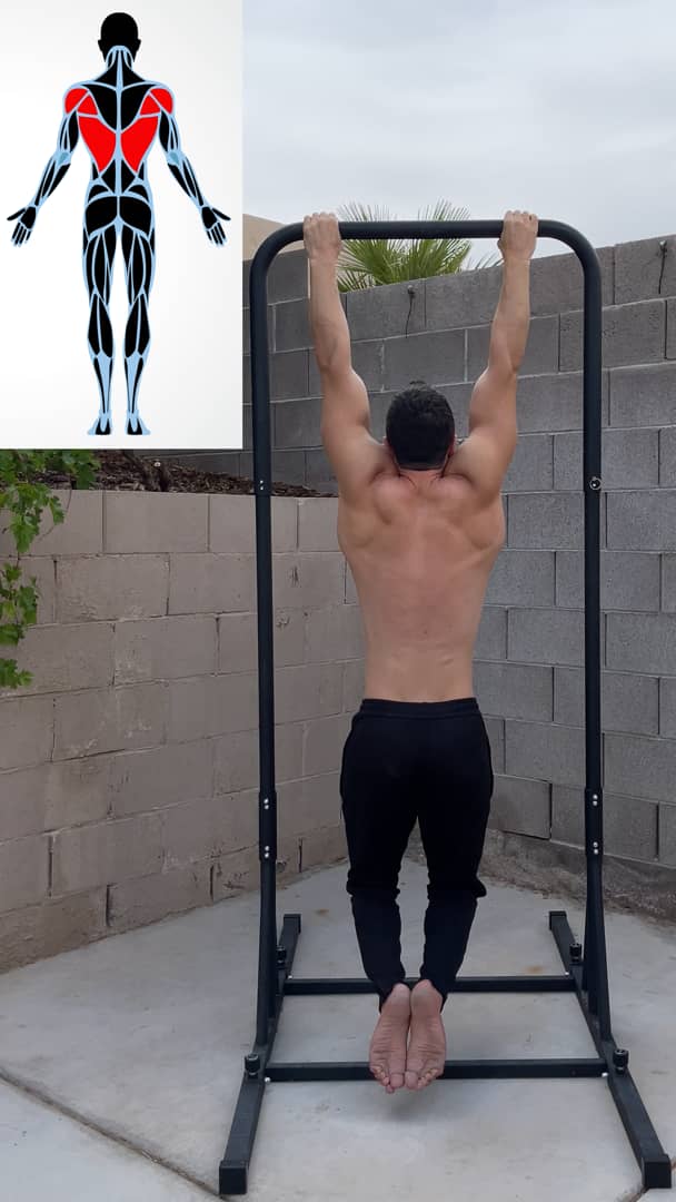 Scapular Pull-ups Tutorial on Vimeo