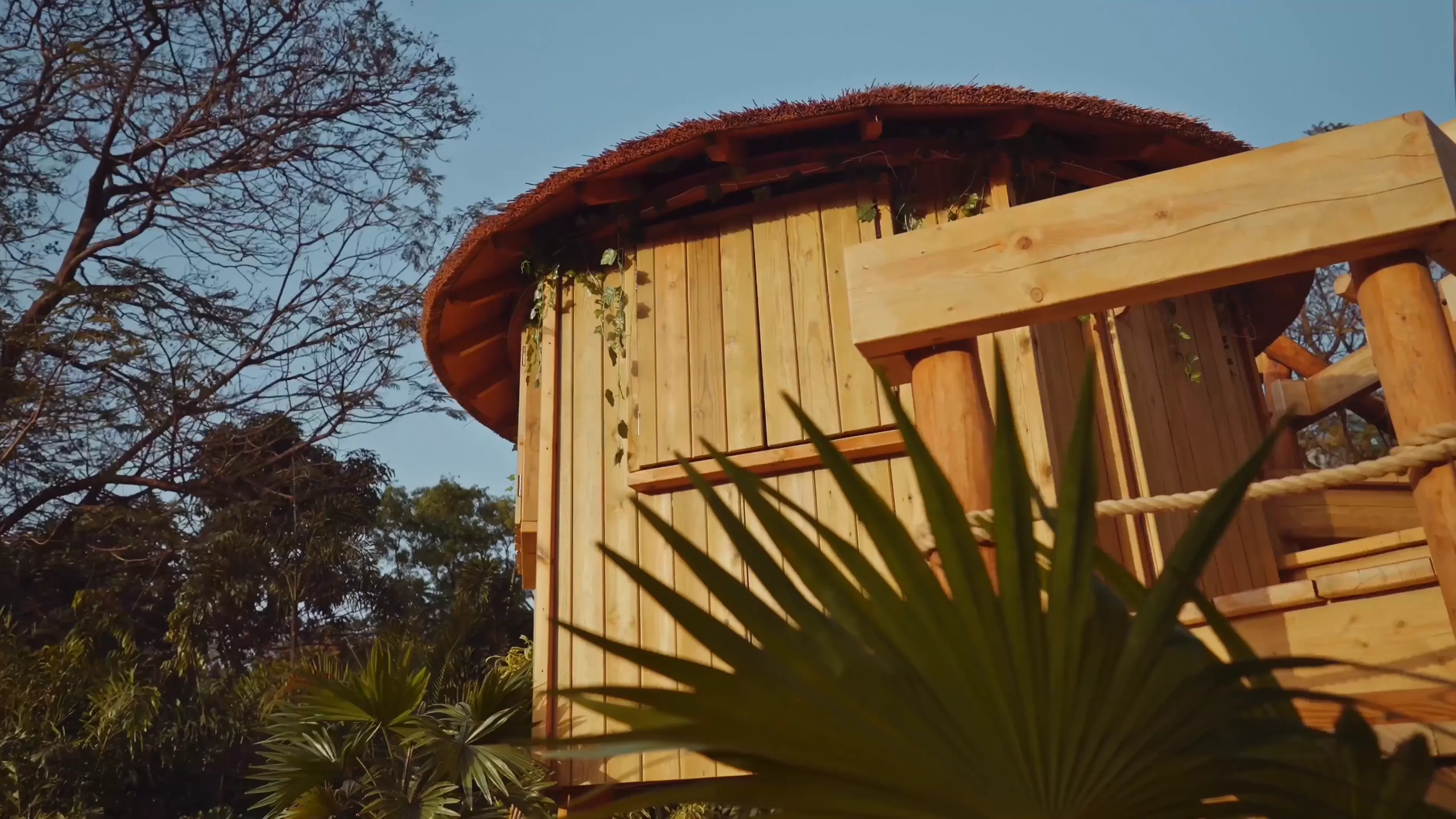 Treehouse-Life.mp4 on Vimeo