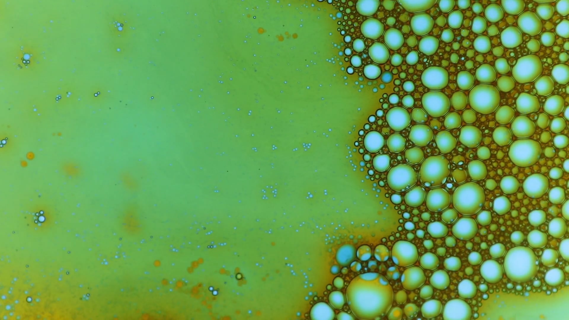 liquid bubbles - session 2 - timelapse on Vimeo