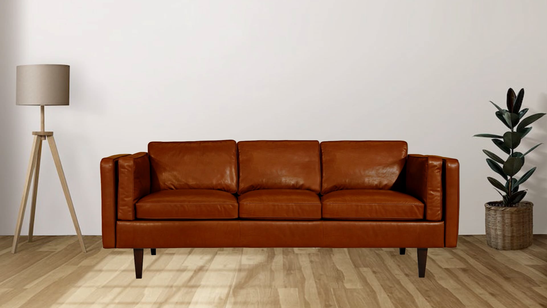 Week 2: Pets on Vimeo