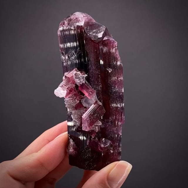 Rubellite Tourmaline - SM22-148 - Jonas mine - Brazil Mineral Specimen