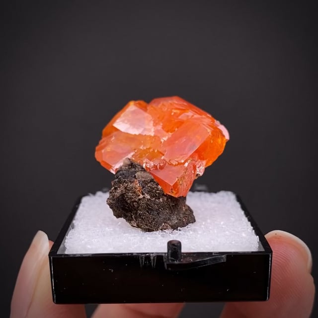 Wulfenite - SM22-153 - Red Cloud Mine - USA Mineral Specimen