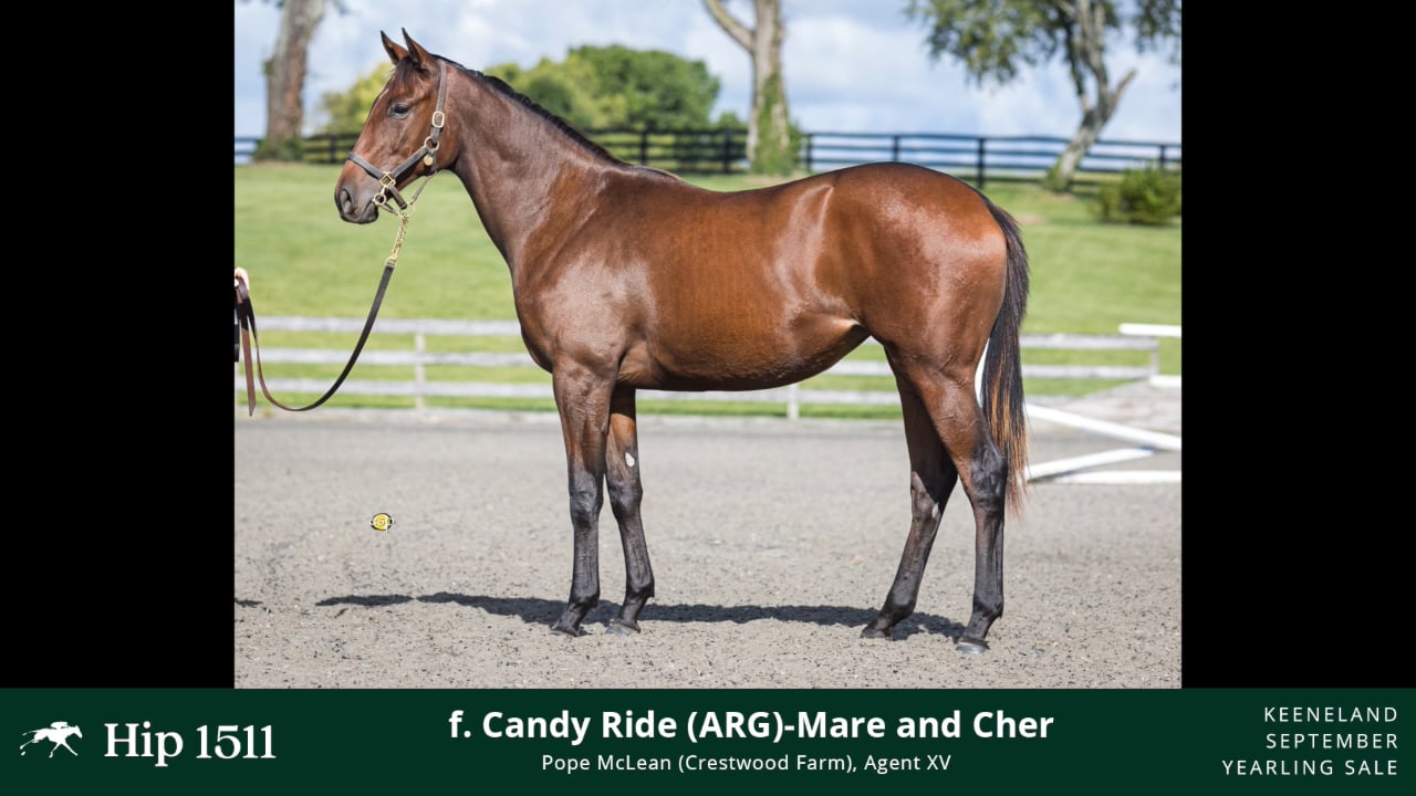 Hip 1511 Kee Sep Candy Ride - Mare and Cher.mp4 on Vimeo