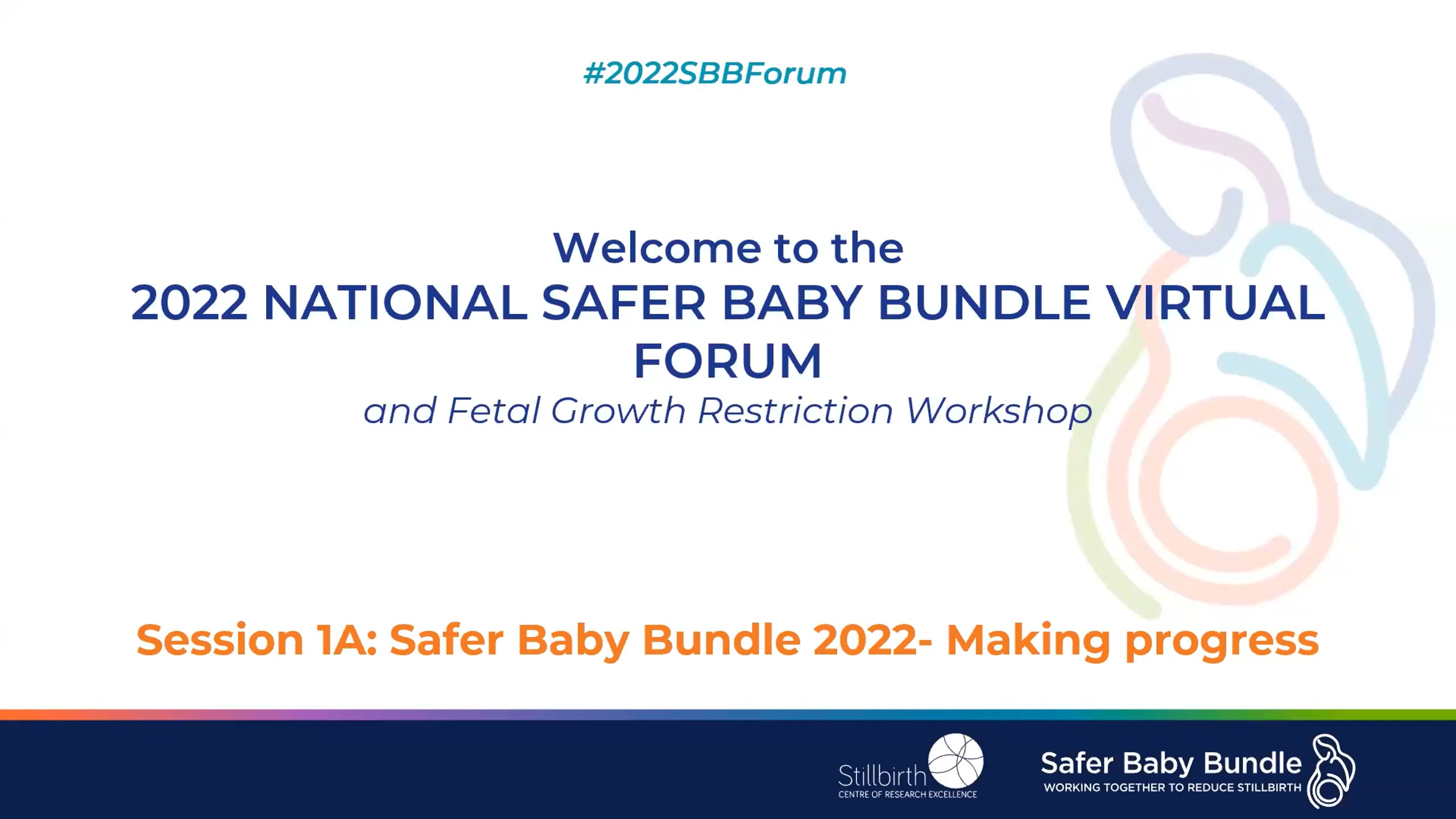 2022 National Safer Baby Bundle Virtual Forum: Session 1A and 1B on Vimeo