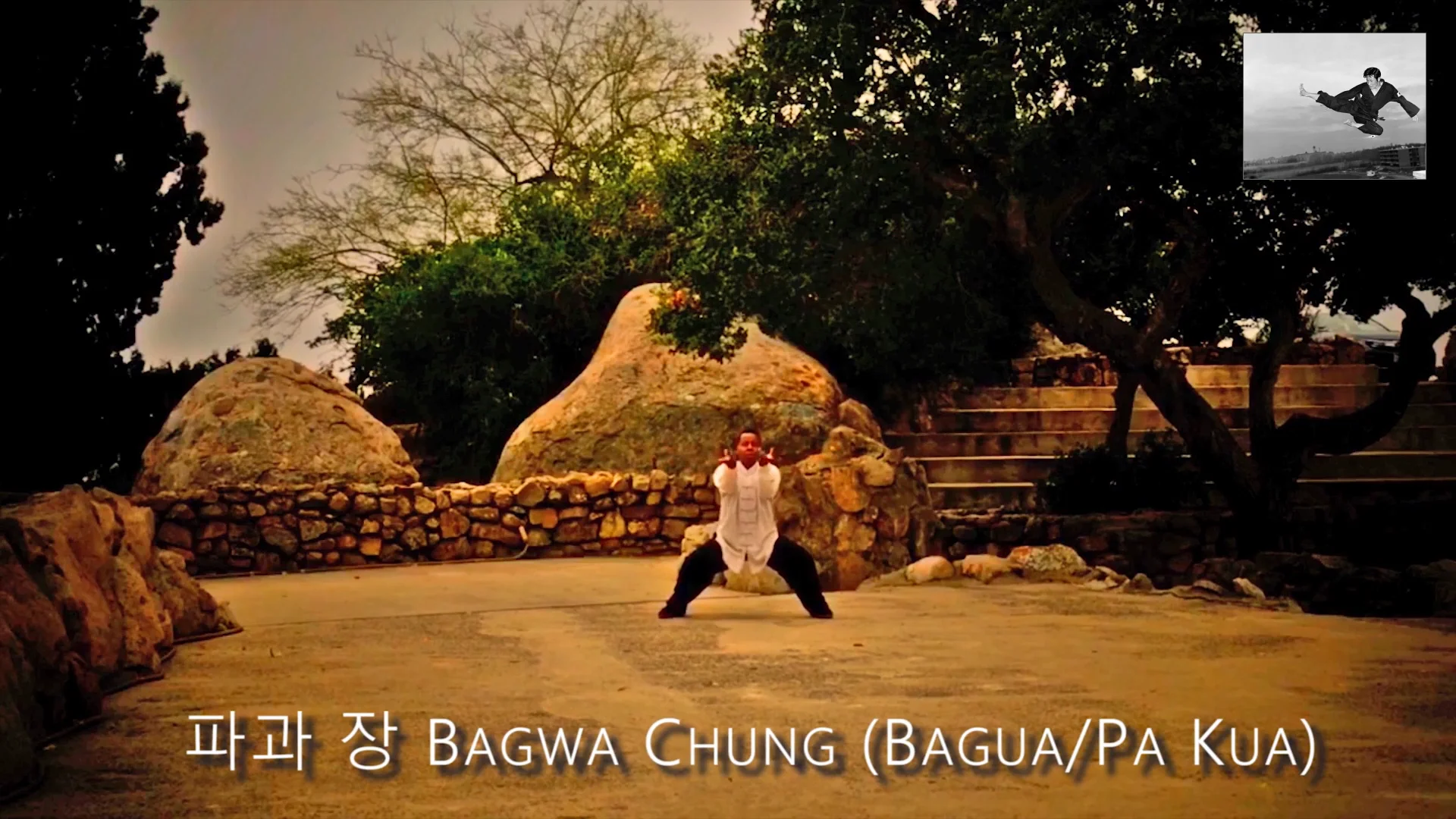 Bagwa Chung (Bagua/Pa Kua) on Vimeo
