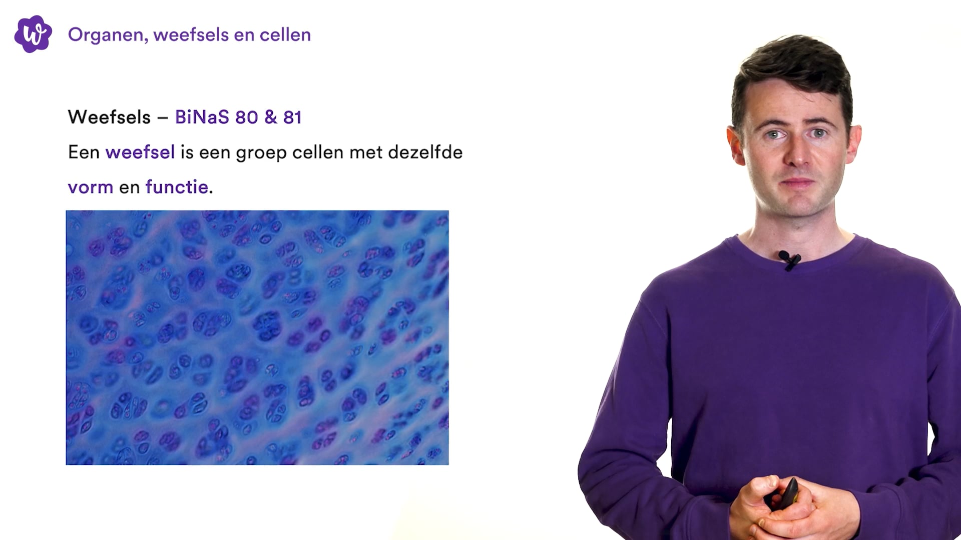 Organen, weefsels en cellen oefenen | StudyGo