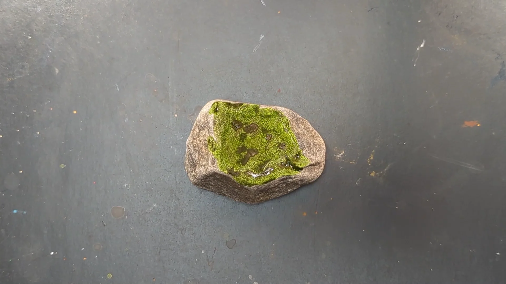 Example Dirty Down Moss.mp4 on Vimeo