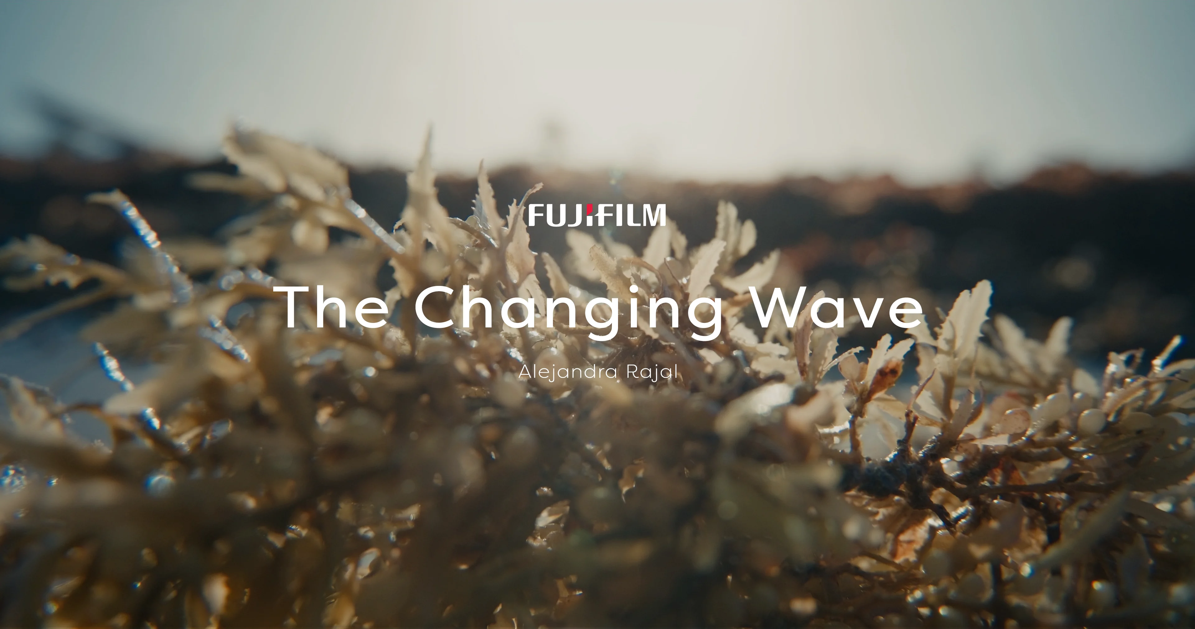The Changing Wave on Vimeo