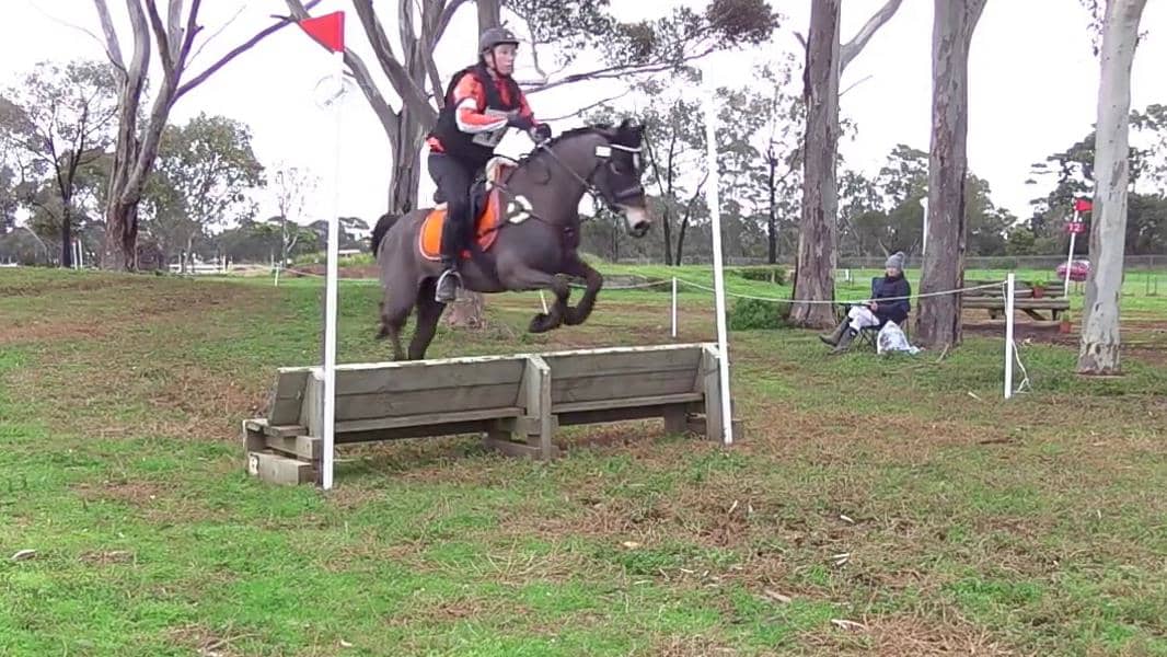 Lauren Jarvis riding Sweetwater starlight 451 EvA65P Eventing Victoria ...