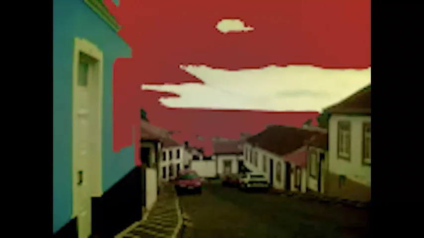 Survival.mp4 on Vimeo