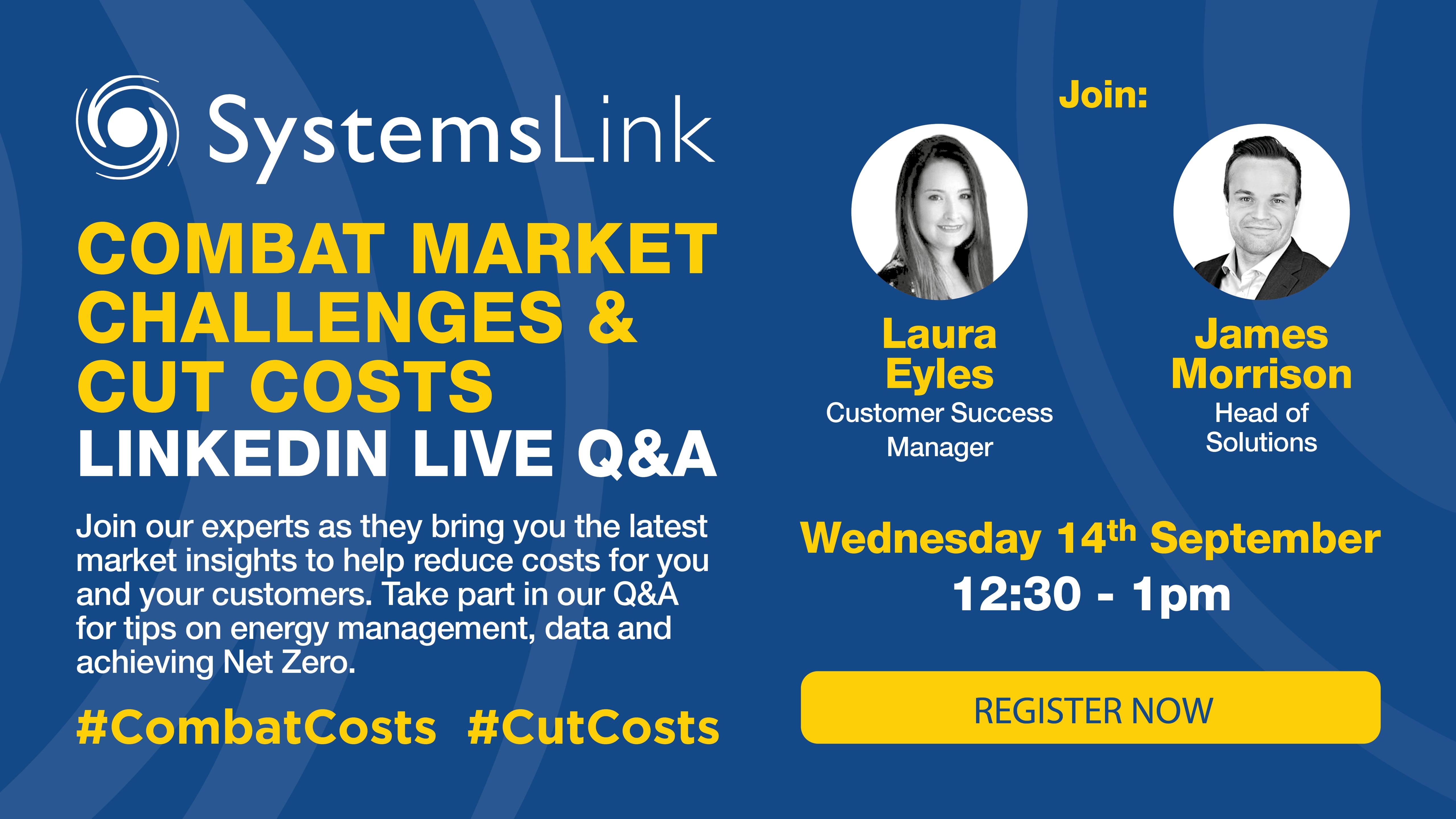 SystemsLink Live | Combat Market Challenges & Cut Costs on Vimeo
