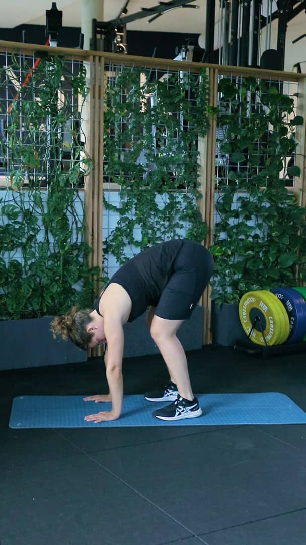 Elephant Stretch on Vimeo