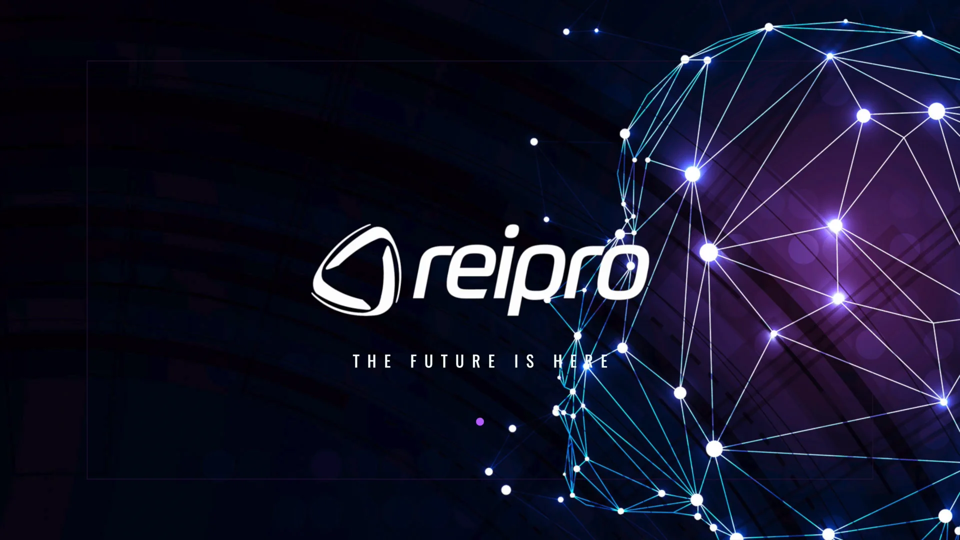 REIPro Short Demonstration.mp4 on Vimeo