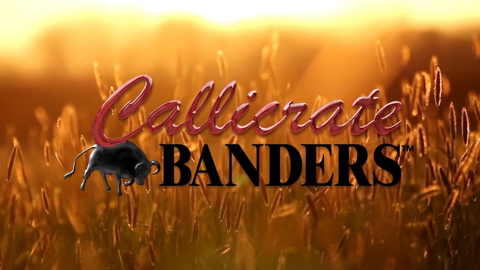 Callicrate PRO Bander on Vimeo