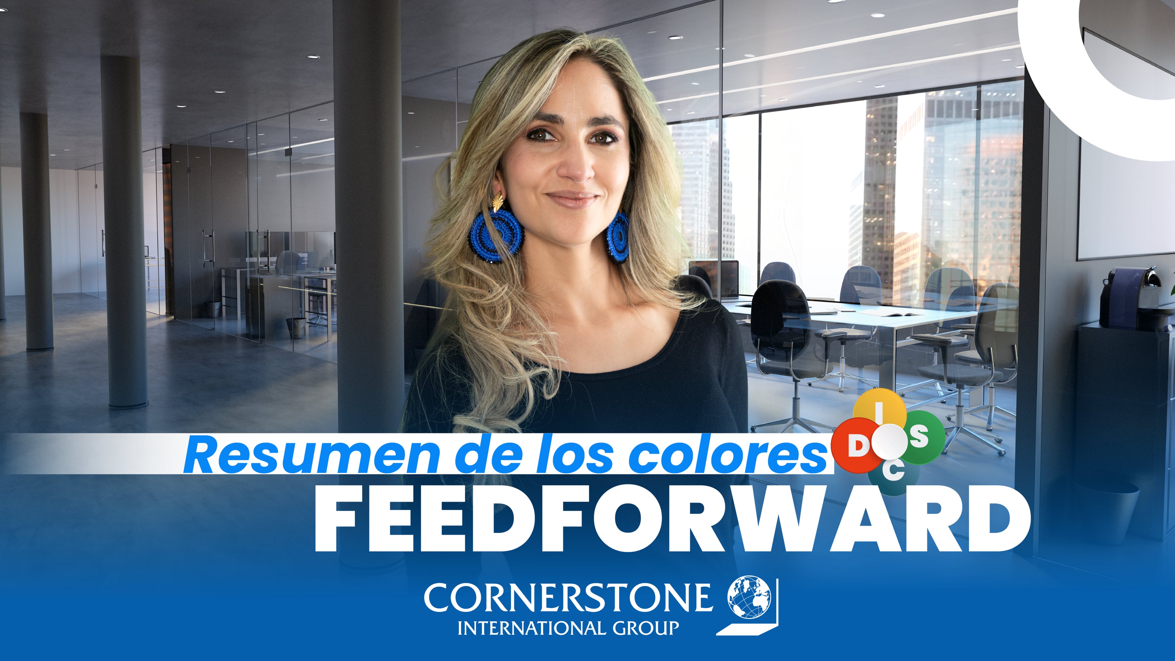 El DISC y sus colores