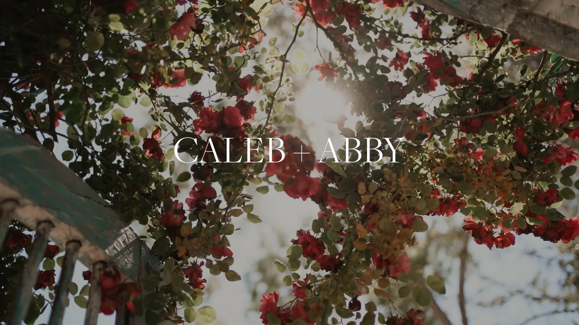 Caleb + Abby Wedding on Vimeo