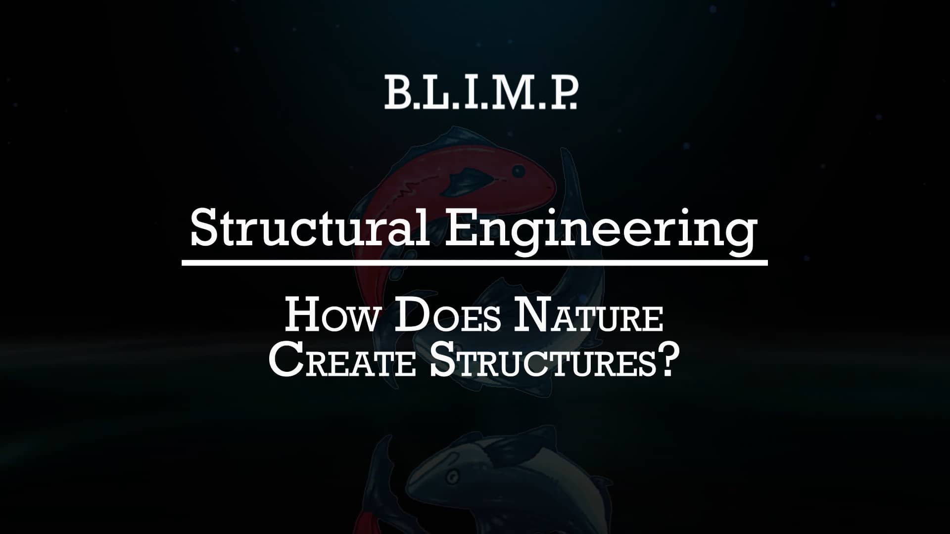 B.L.I.M.P. - Structural Engineering 2: How Does Nature Create Structures? on Vimeo