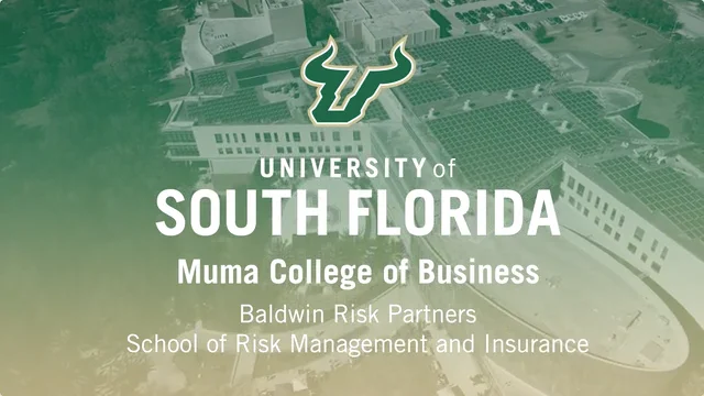 Usf School Of Management