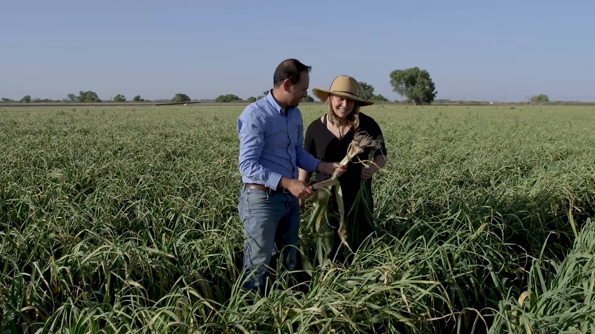 Sustainable Garlic Production featuring ofi on Vimeo