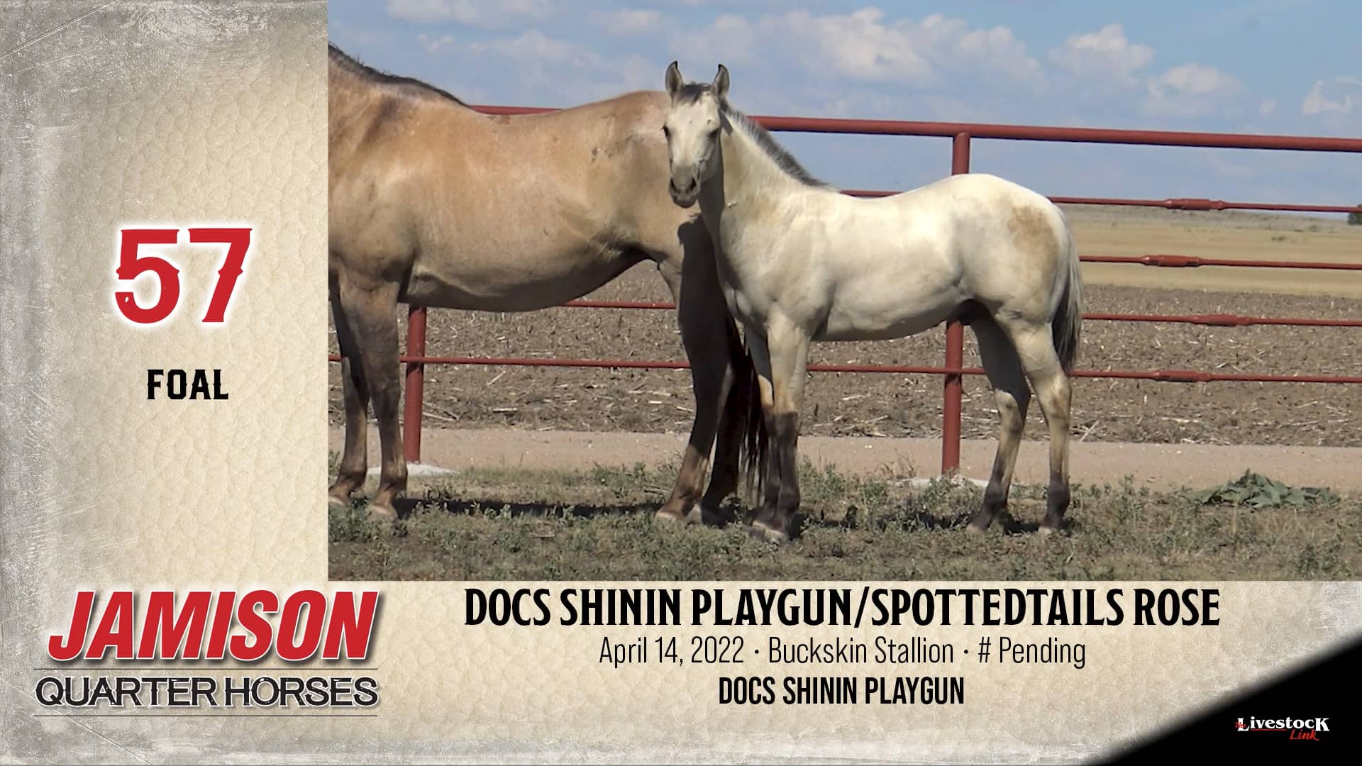 Jamison Ranch - Lot 57 on Vimeo