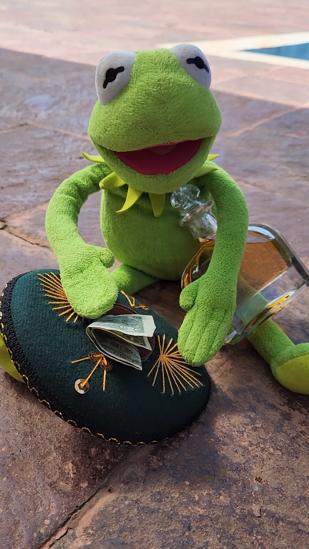 Kermit in Mexico 6 on Vimeo