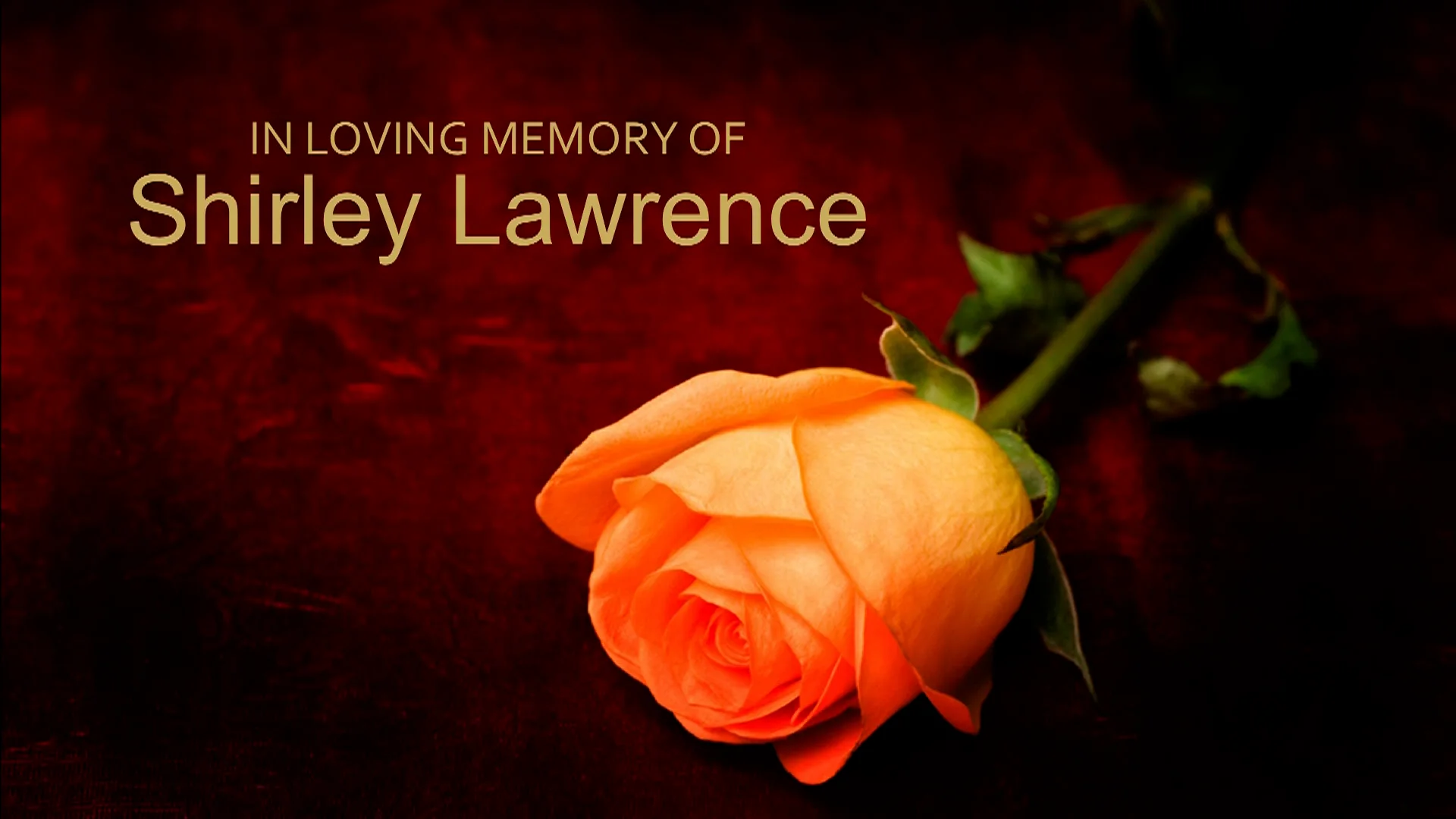 Shirley Lawrence on Vimeo