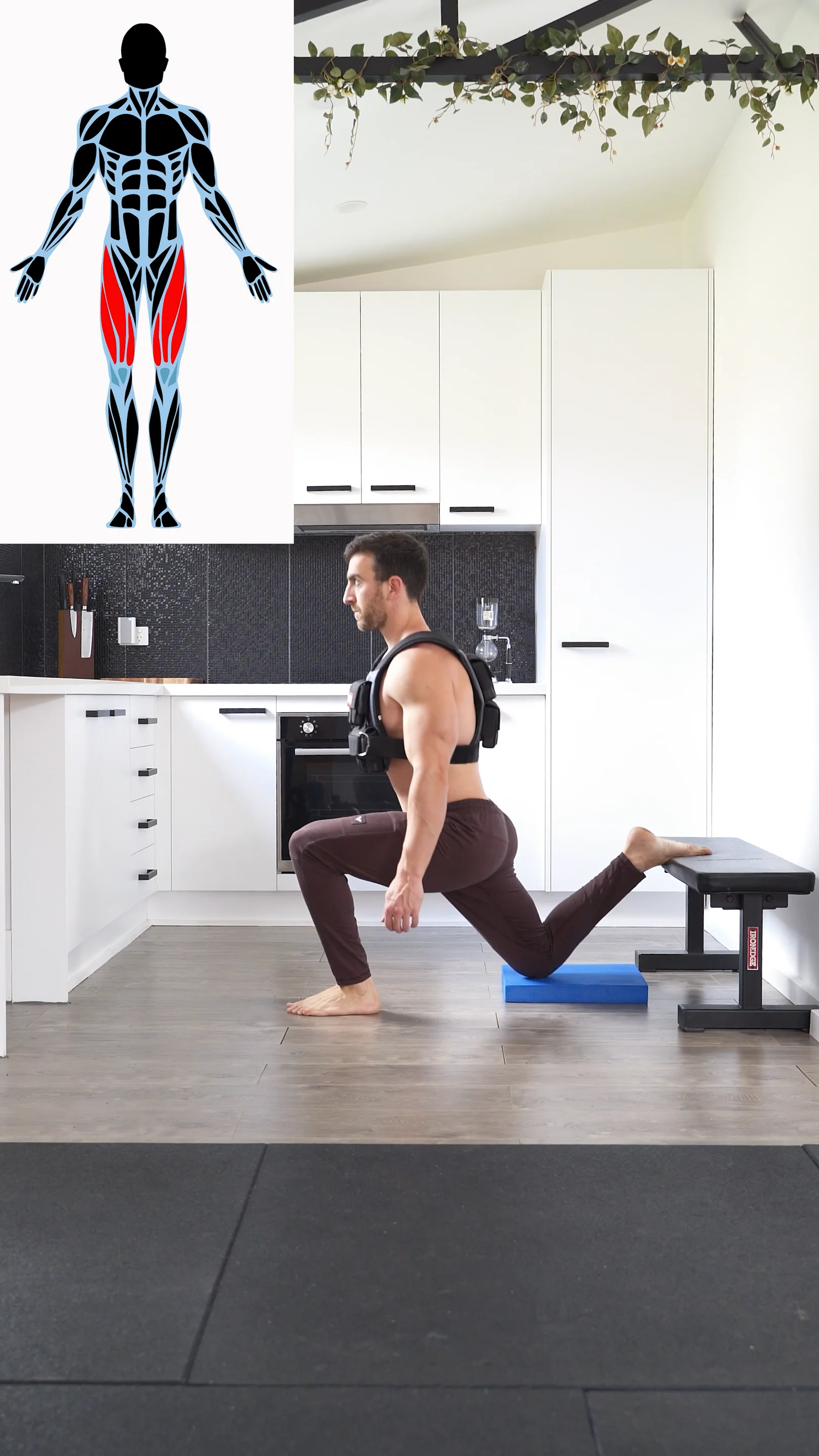 Bulgarian Split Squats Tutorial on Vimeo