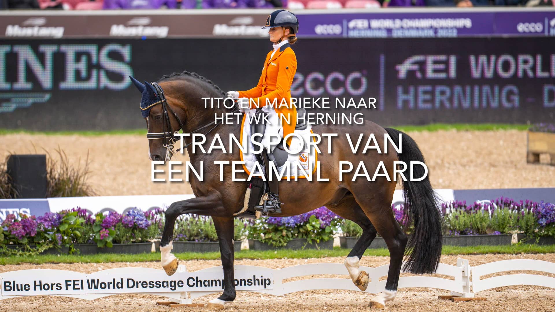 IMG_0638.MOV on Vimeo