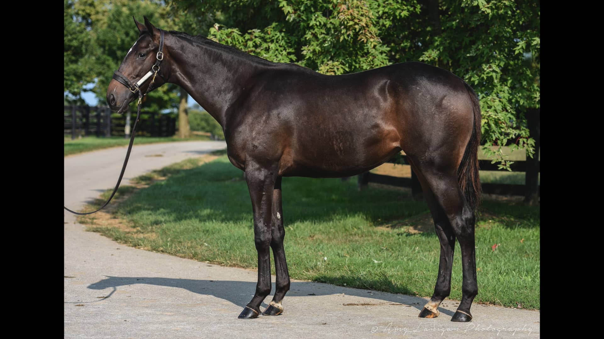 Hip_2338_KEESEP22-Miss_Derek on Vimeo