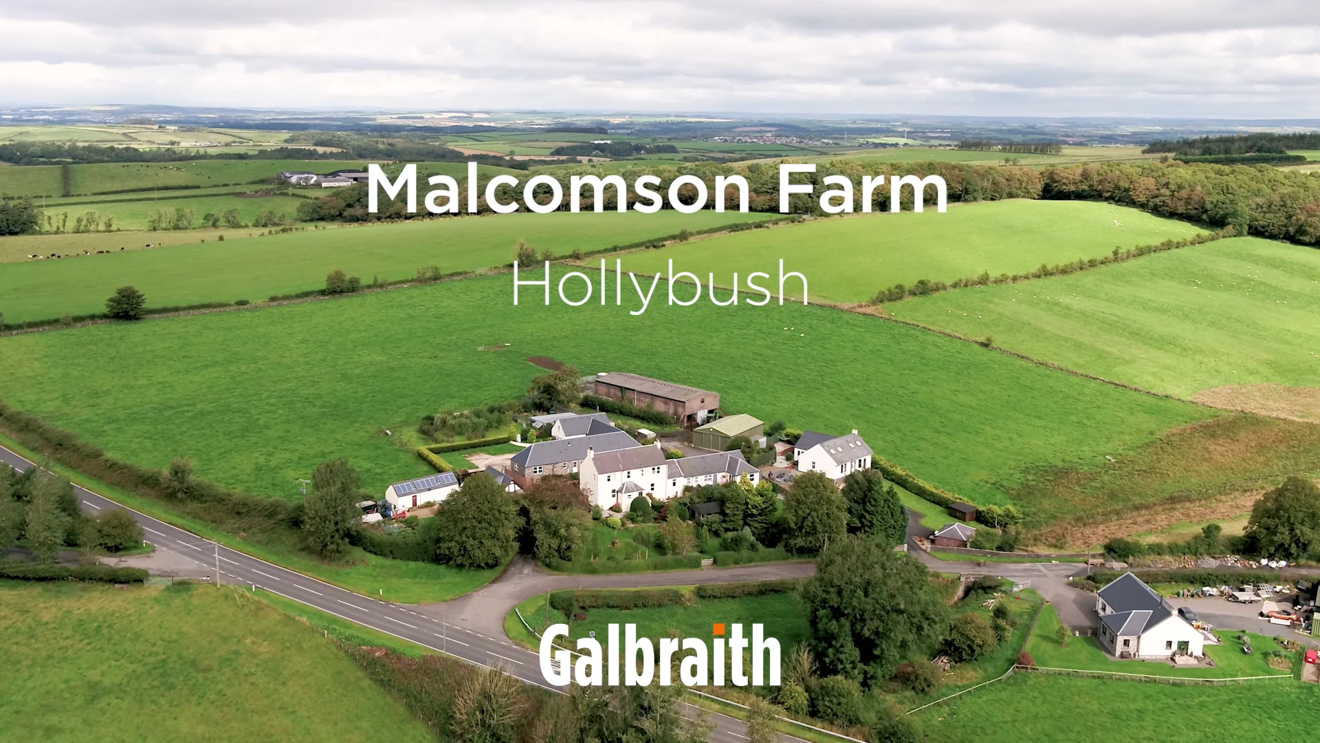 Malcolmson Farm Hollybush.mp4 on Vimeo