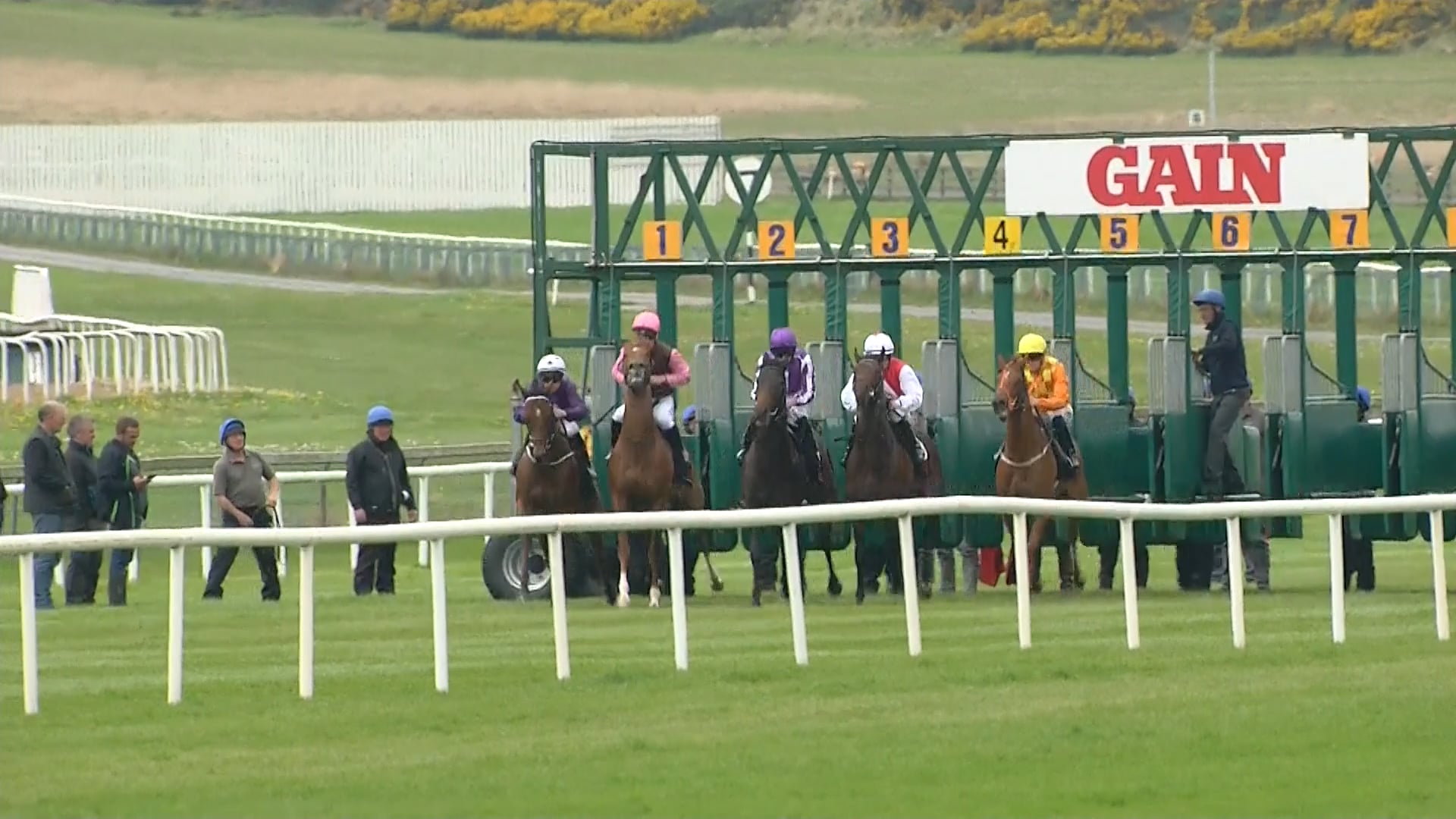 Blackbeard | Stallions - Coolmore Ireland