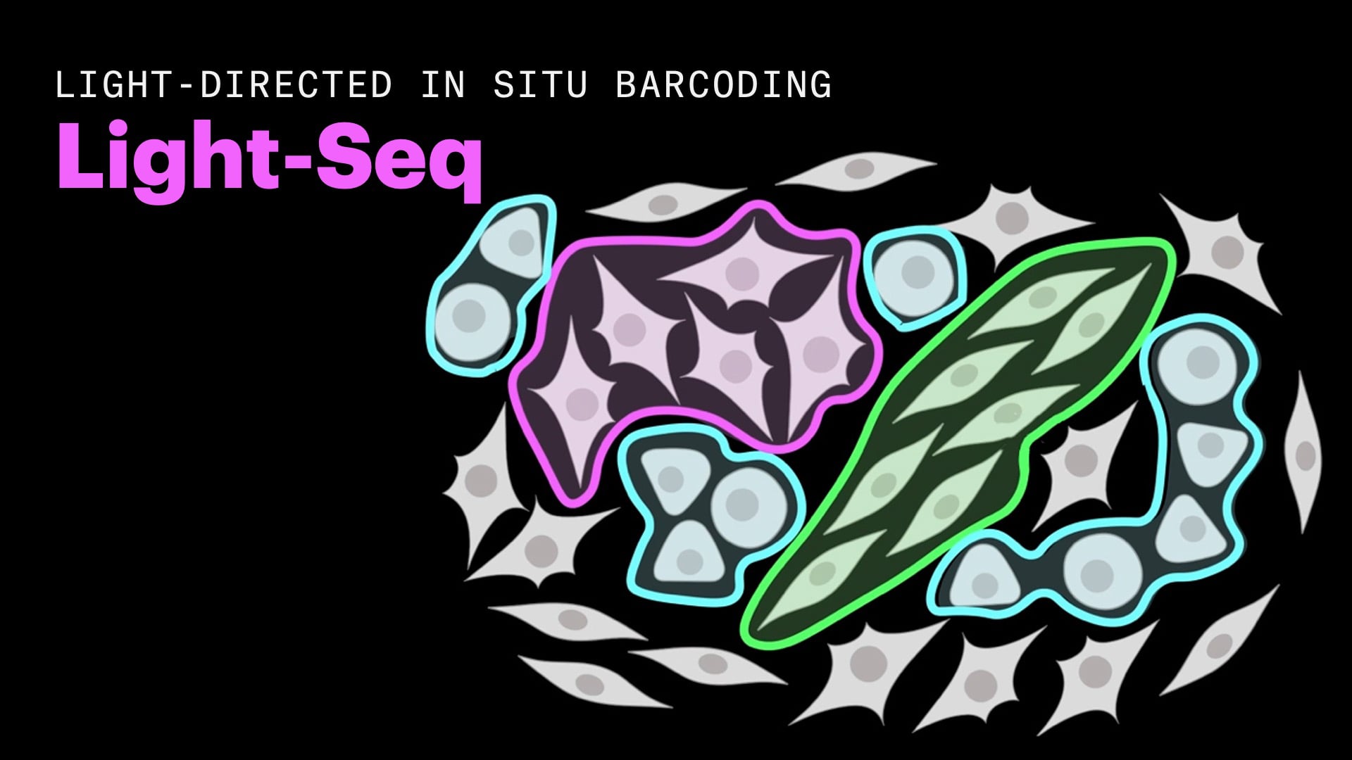 Light-directed sequencing of cells in tissues