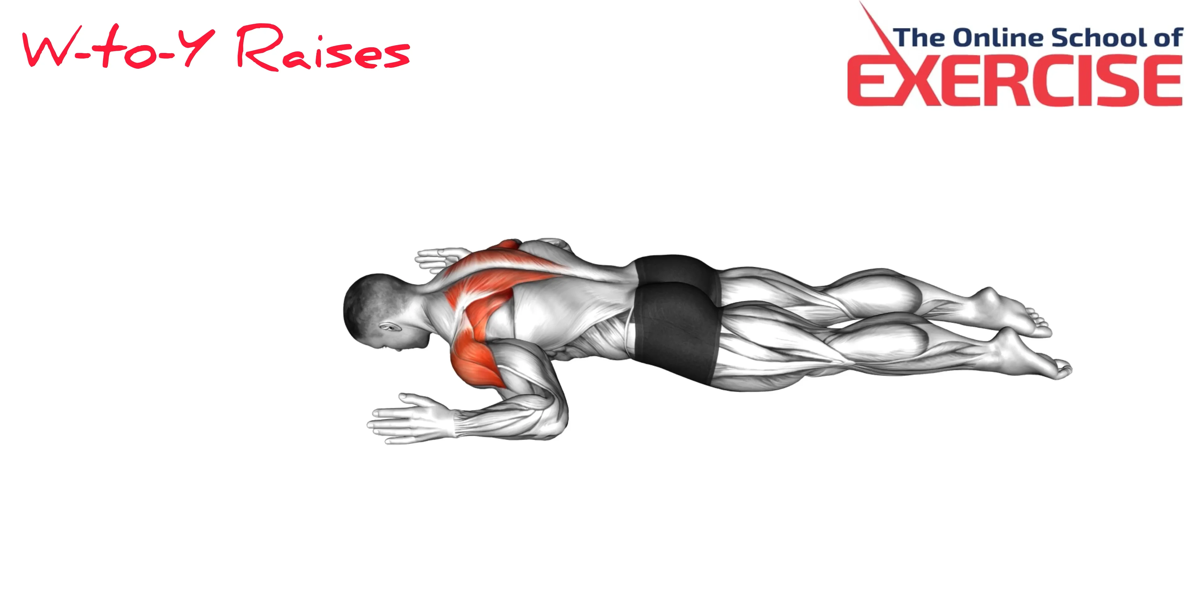 W-to-Y Raises on Vimeo