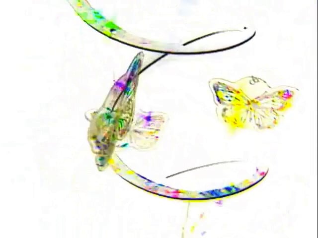 Baby Van Gogh in G Major [Part 2] on Vimeo