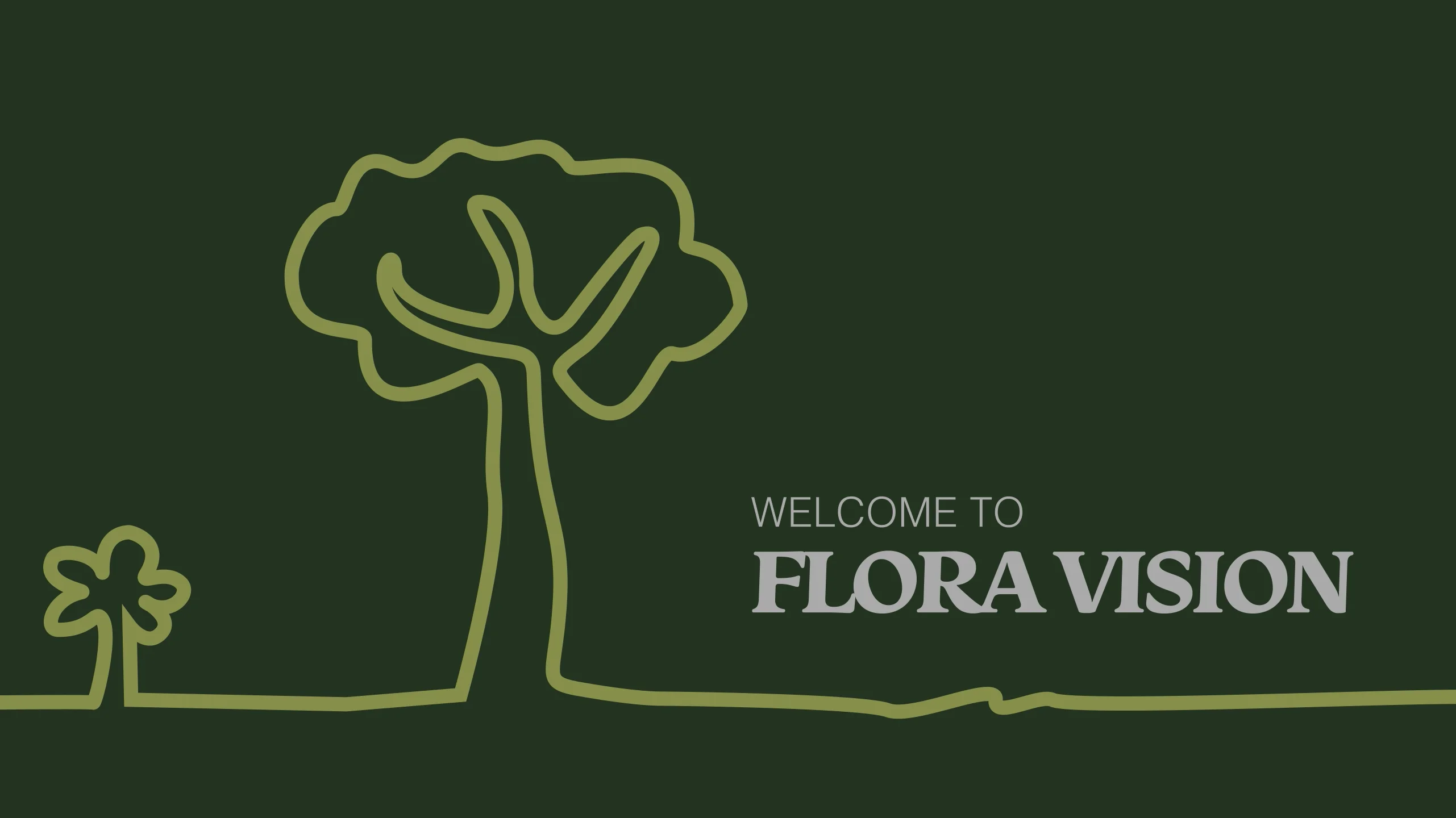 FLORA VISION final on Vimeo