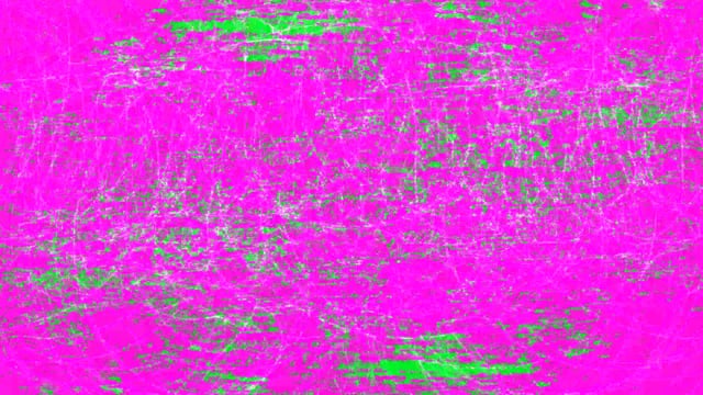 40+ Free Video Wallpaper & Background Videos, HD & 4K Clips - Pixabay