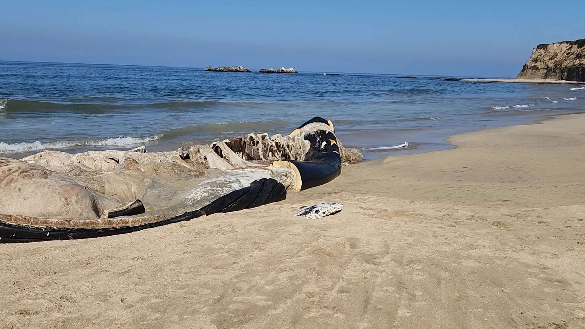 Dead while half min bay Beach on Vimeo
