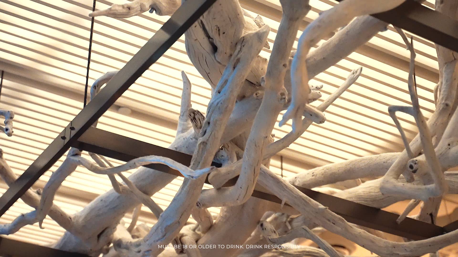 Appleton Decades on Vimeo