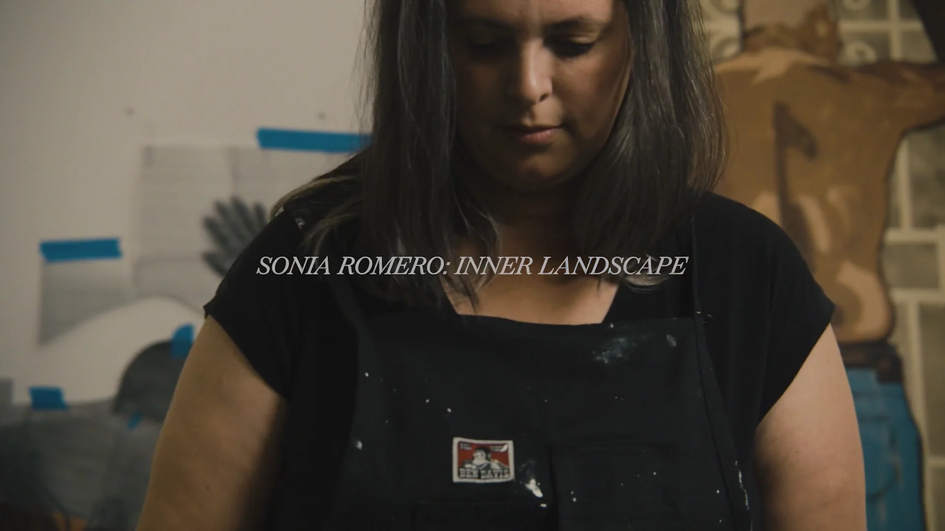 Sonia Romero: Inner Landscape on Vimeo