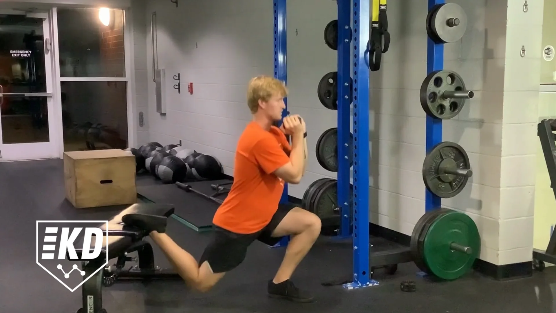 Dumbbell RFE Goblet Lunge on Vimeo