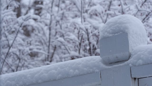 Snow Cold Winter - Free video on Pixabay