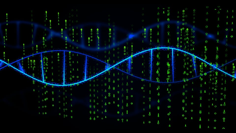 Animation of dna strands over data processing Video from Pikwizard