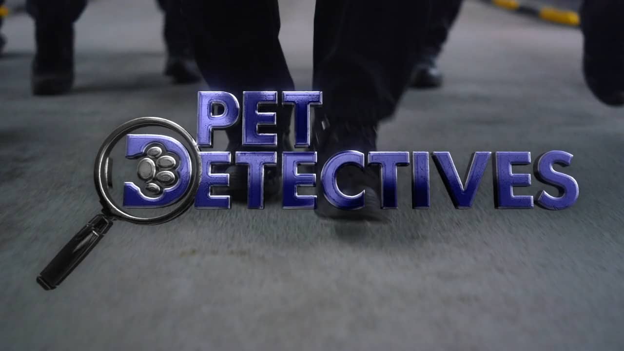 Pet Detectives MIPCOM Trailer .mp4 on Vimeo