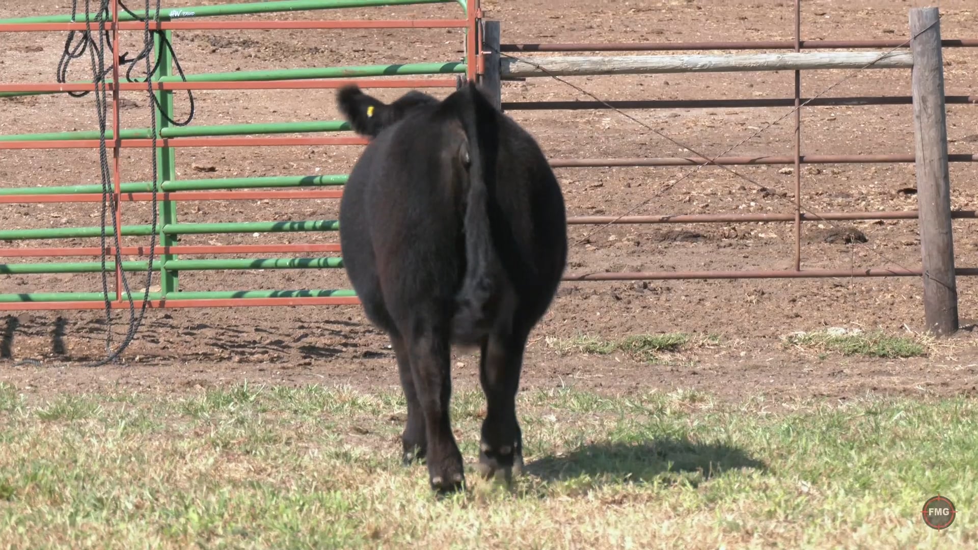 Ohlrichs Tag 8.mp4 on Vimeo