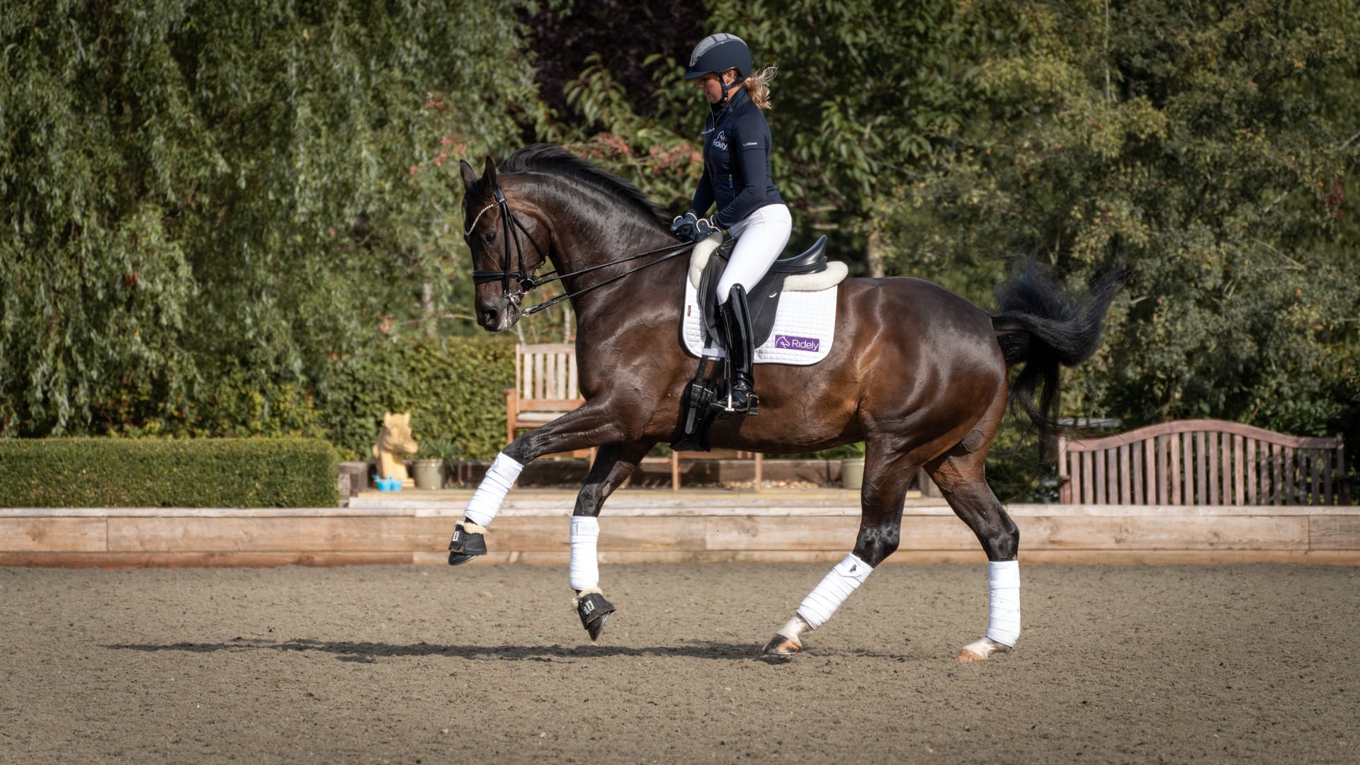 Flying Changes on a Serpentine | Ridely