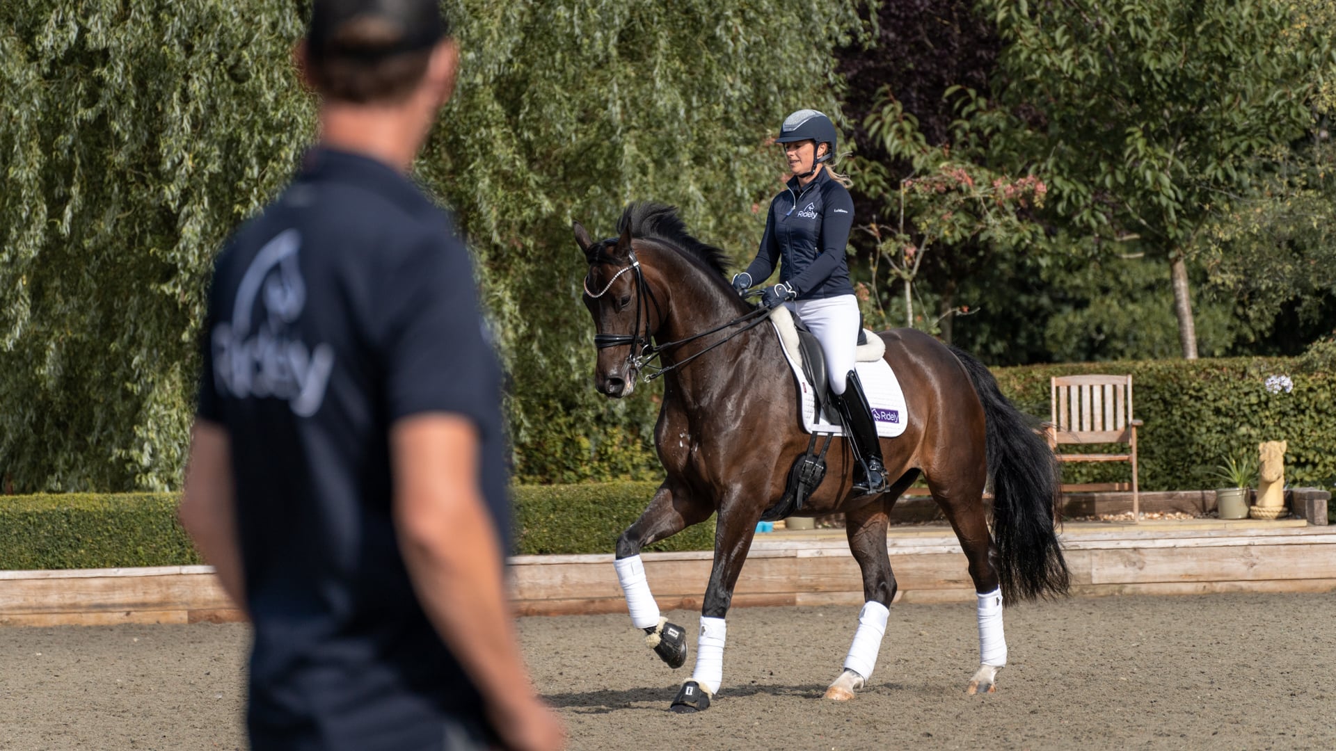 Flying Changes on a Diagonal | Ridely