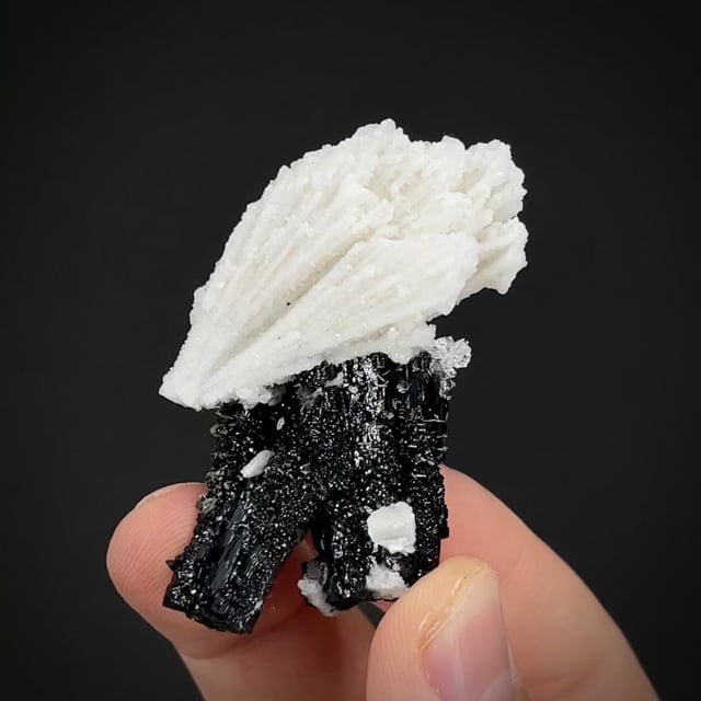 Calcite (Fluorescent) on Ilvaite | Bor mine, Dalnegorsk, Primorsky Krai ...