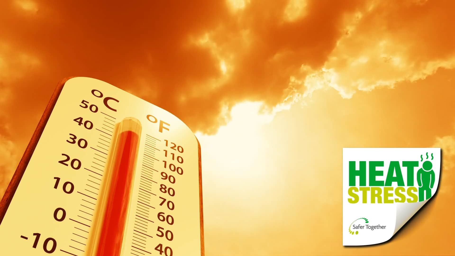 Management of Heat Stress Guideline on Vimeo