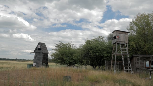 Field Army Military - Free video on Pixabay